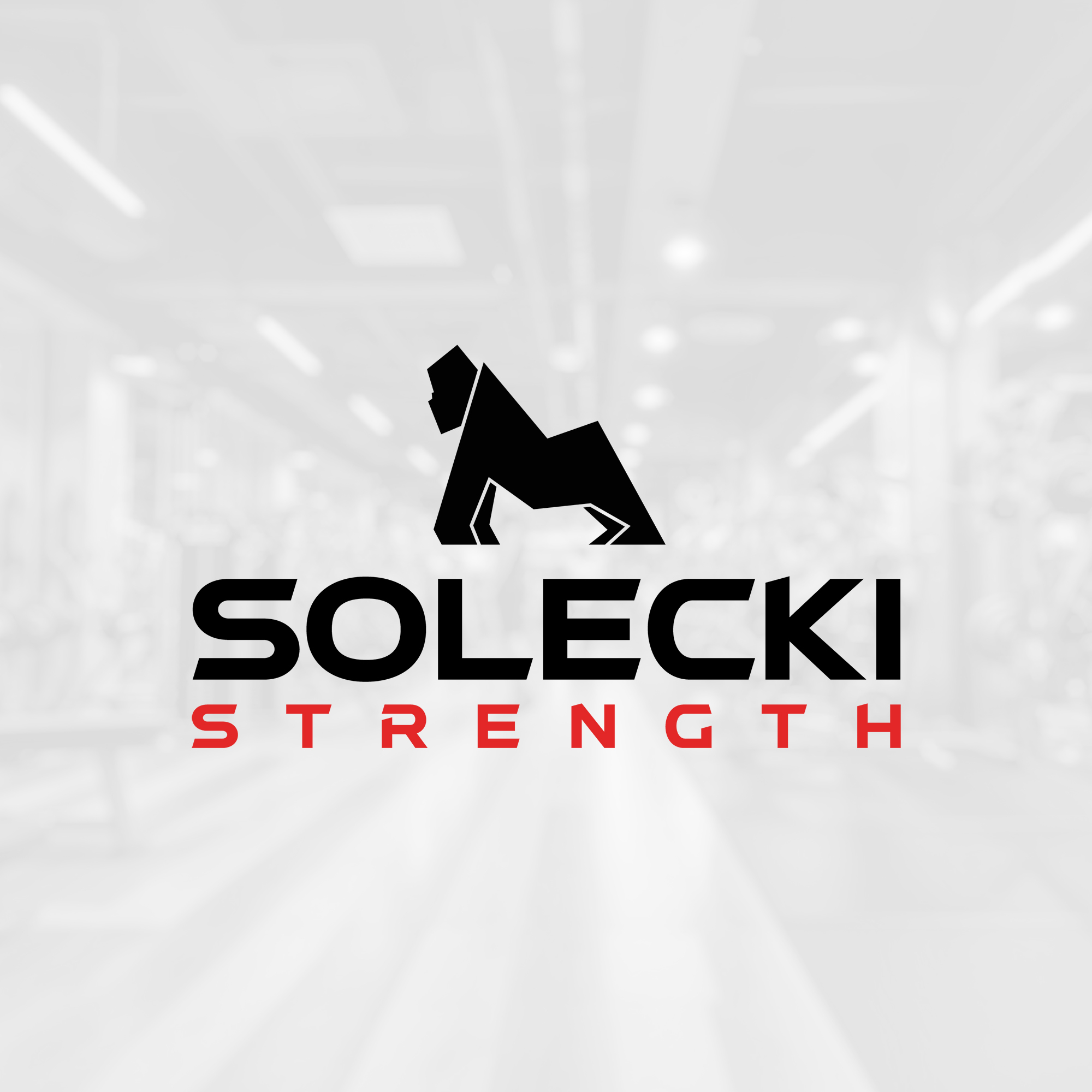 Solecki Strength | Strength Training Systems, McGill Method & Nutritional Counseling
